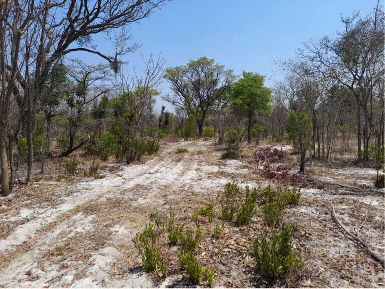 Climate Change in Namibia Part 3: National Actions