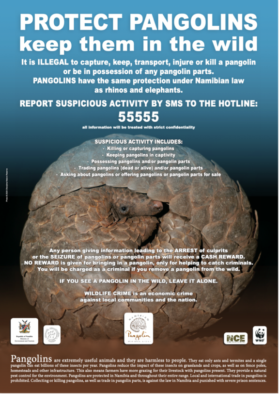 Namibian Pangolin Working Group: collaboration for conservation success