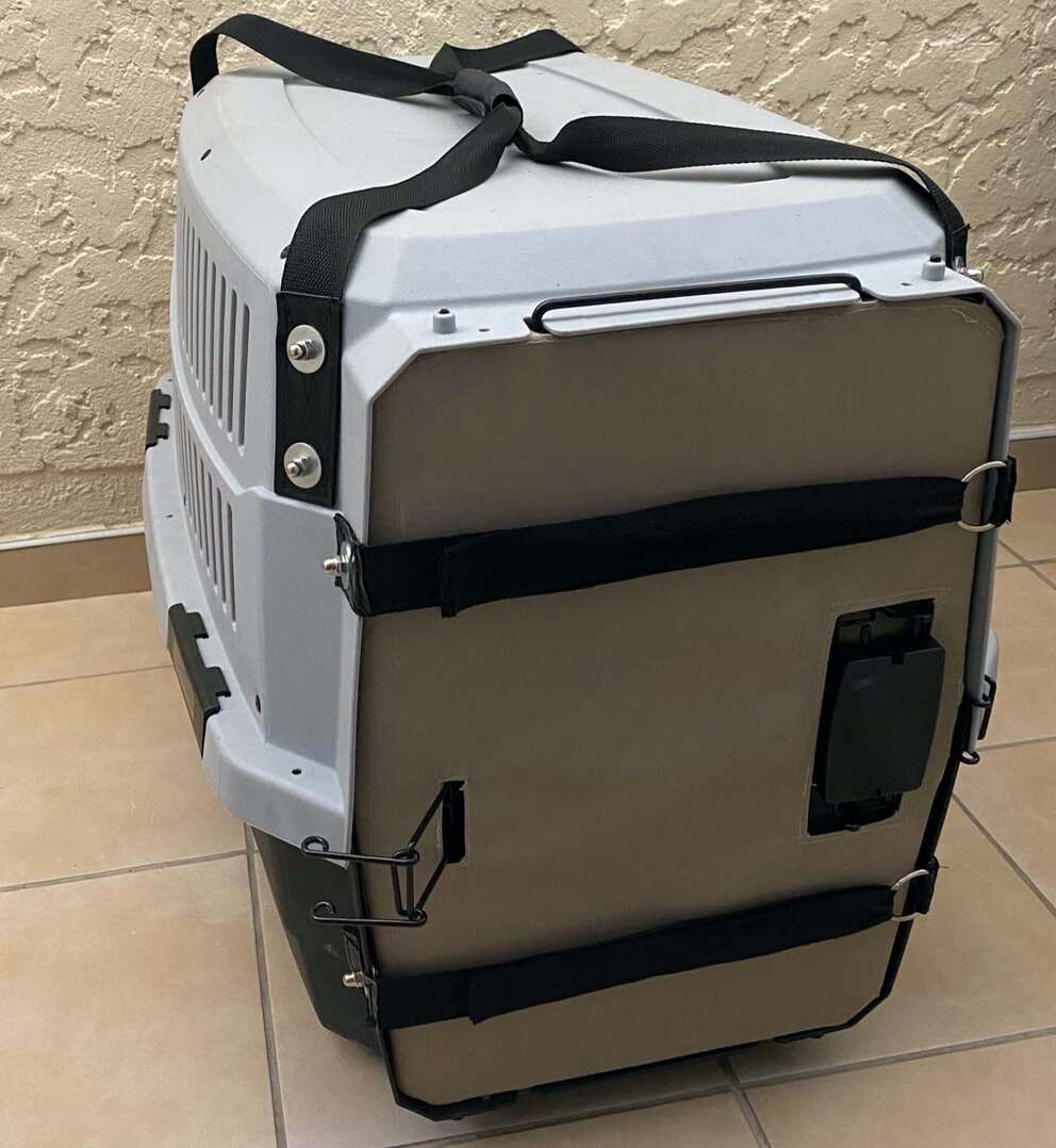 Namibian Pangolin Working Group: collaboration for conservation success