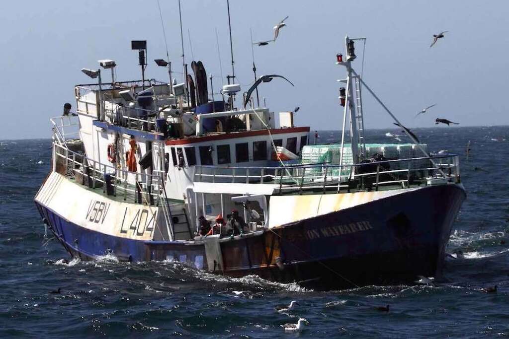 Getting to know Namibia's new marine visitor: Eight things you didn't ...