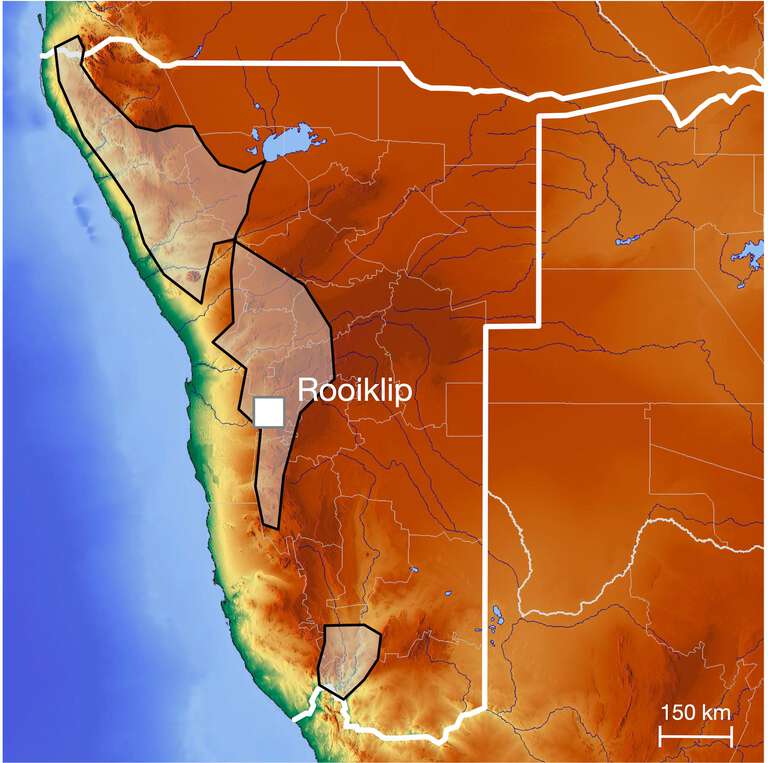 The Role of Rolling Zebras in the Desert Ecosystem