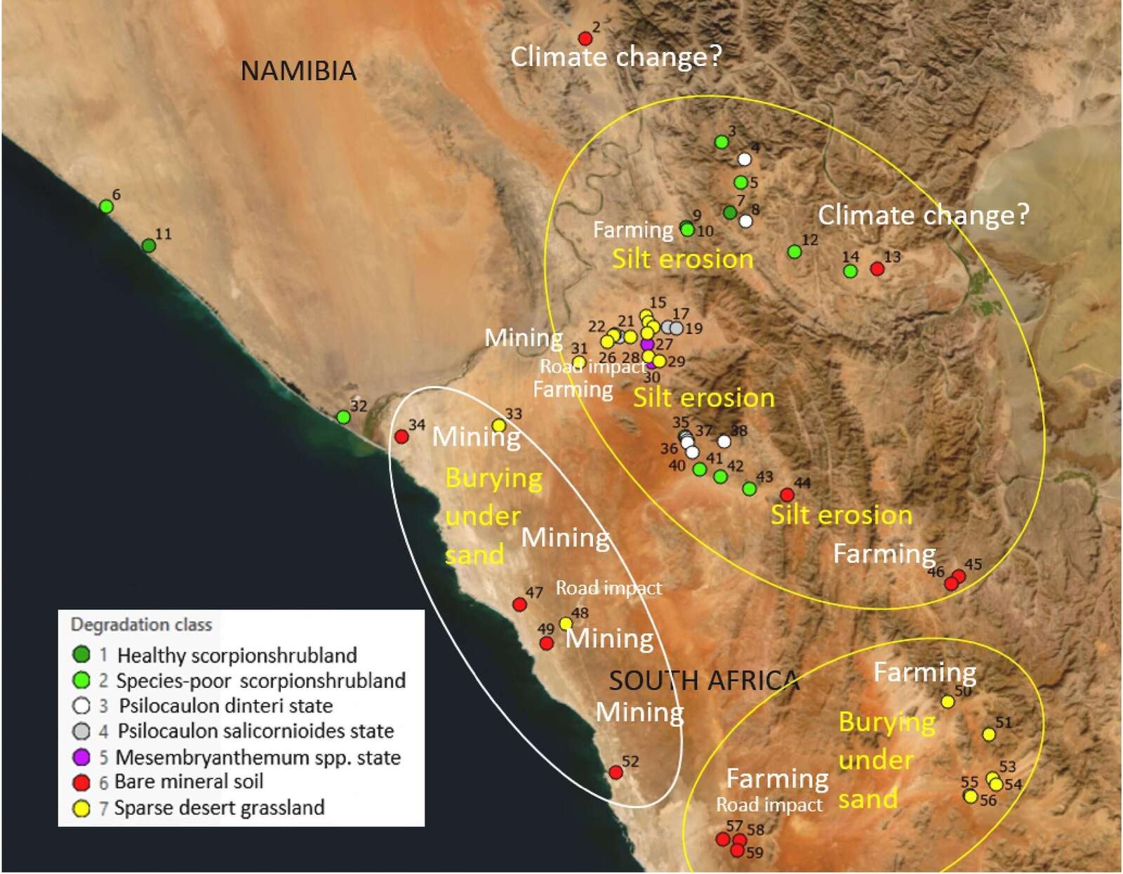 Buried in sand: What Namibia needs to learn from the desertification of ...