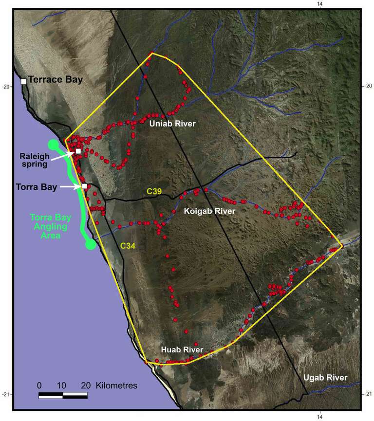 Fishing with lions: How Namibian anglers and desert-adapted lions share ...
