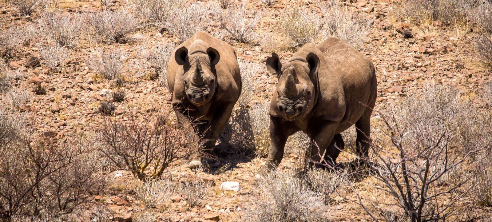 Huab Conservancy prepares to take Minister Pohamba Shifeta to court