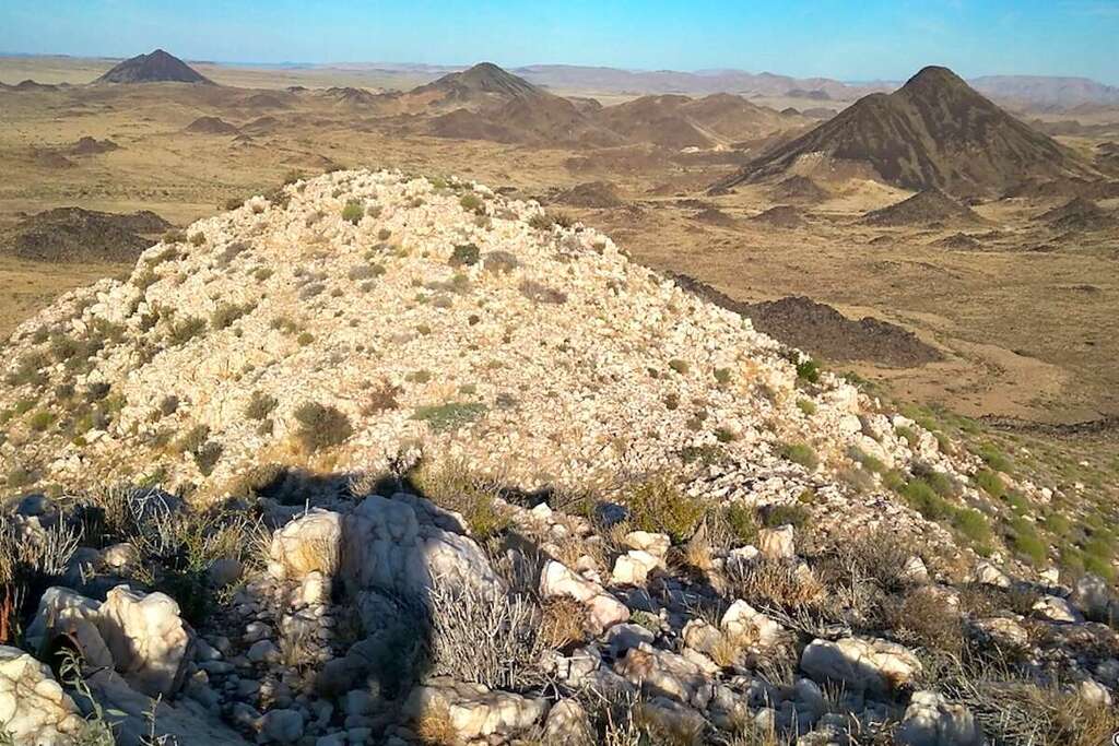 Uniquely Namibian: Namibia's Endemic and Near-Endemic Plants