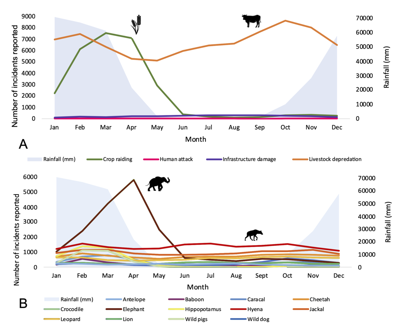 What drives human-wildlife conflict in communal conservancies?