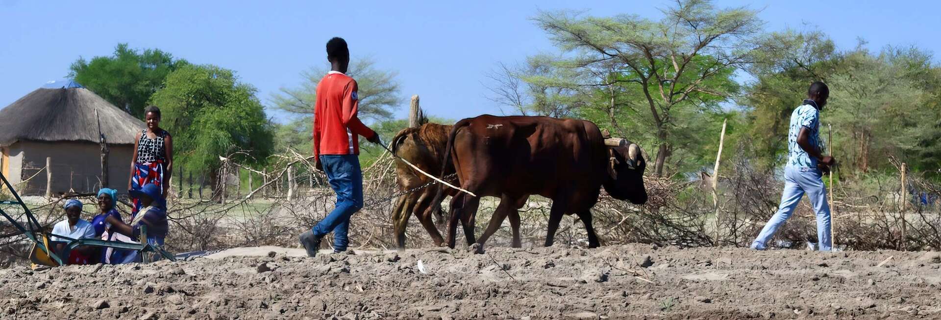 Agroecology: A path to resilient farming in Namibia