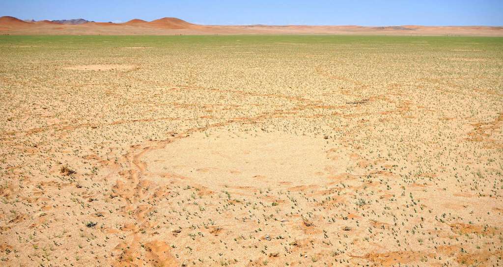 Solving the fairy circle mystery using scientific evidence