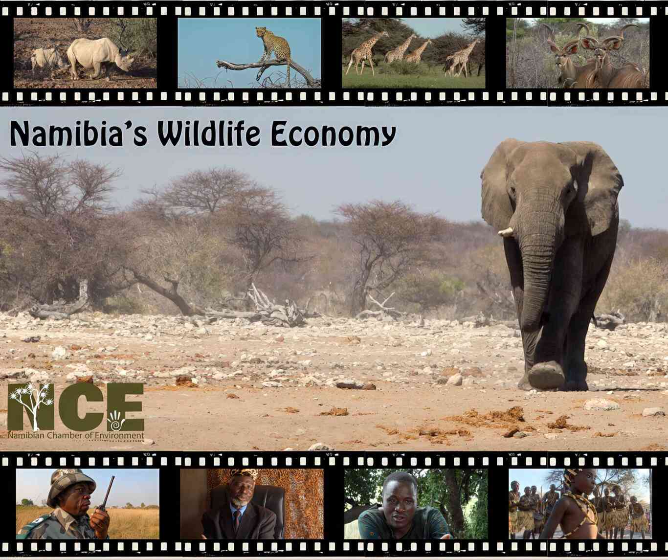 From Poaching to Prosperity: How the Wildlife Economy Works