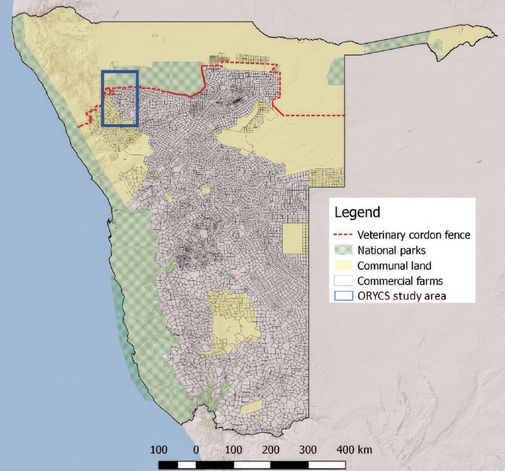 Embracing the Wild: Namibian Farmers' Shift Towards Wildlife Ranching