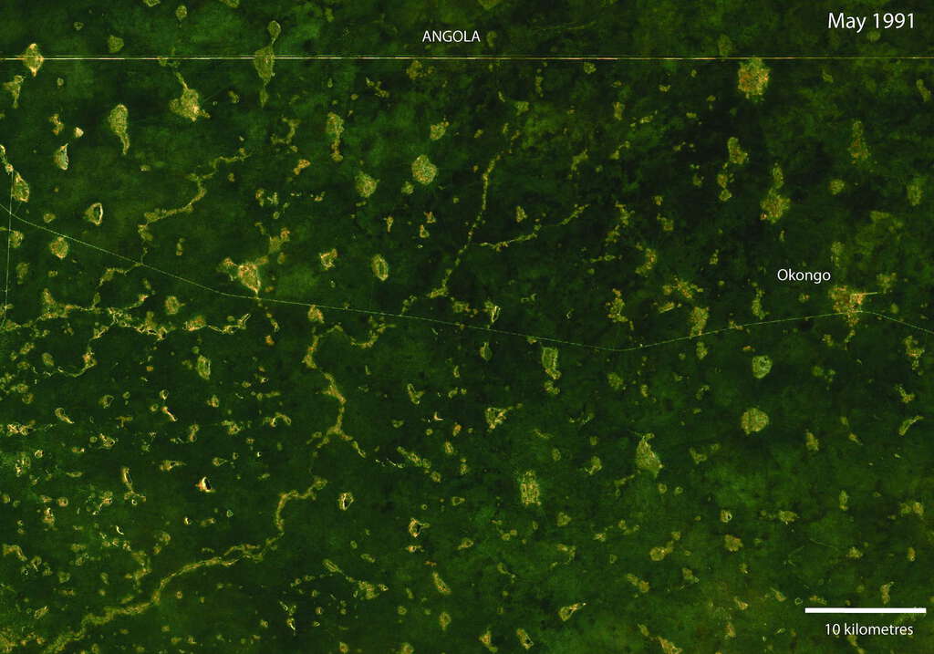 Towards healthy environments and decent livelihoods