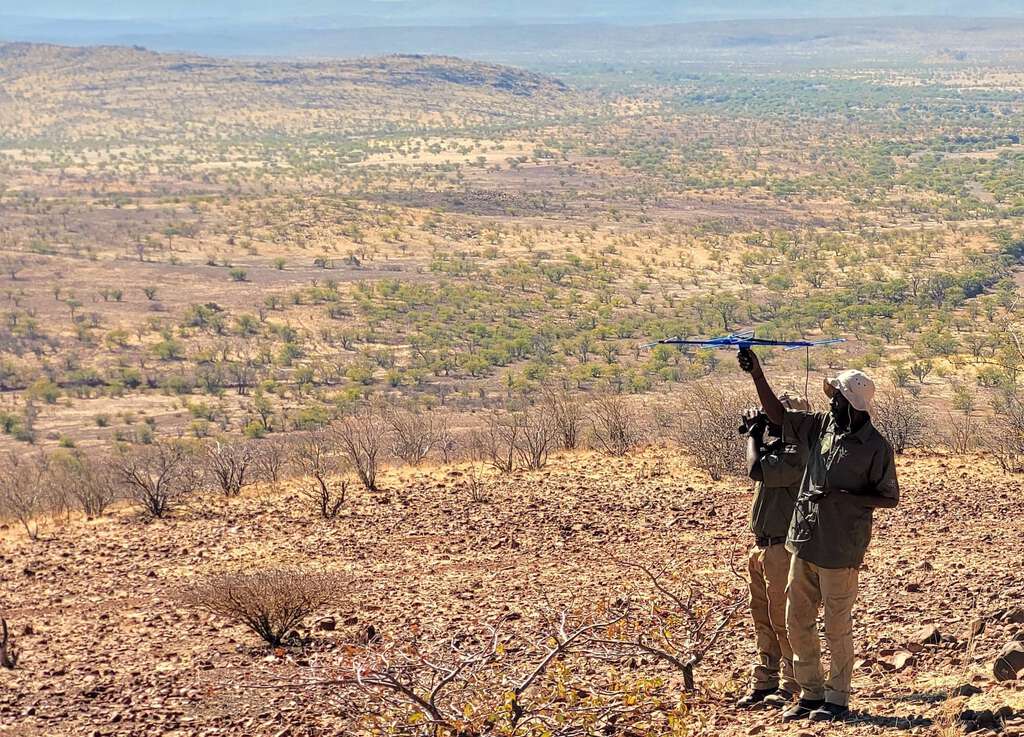 First-ever systematic lion population survey in northwest Namibia