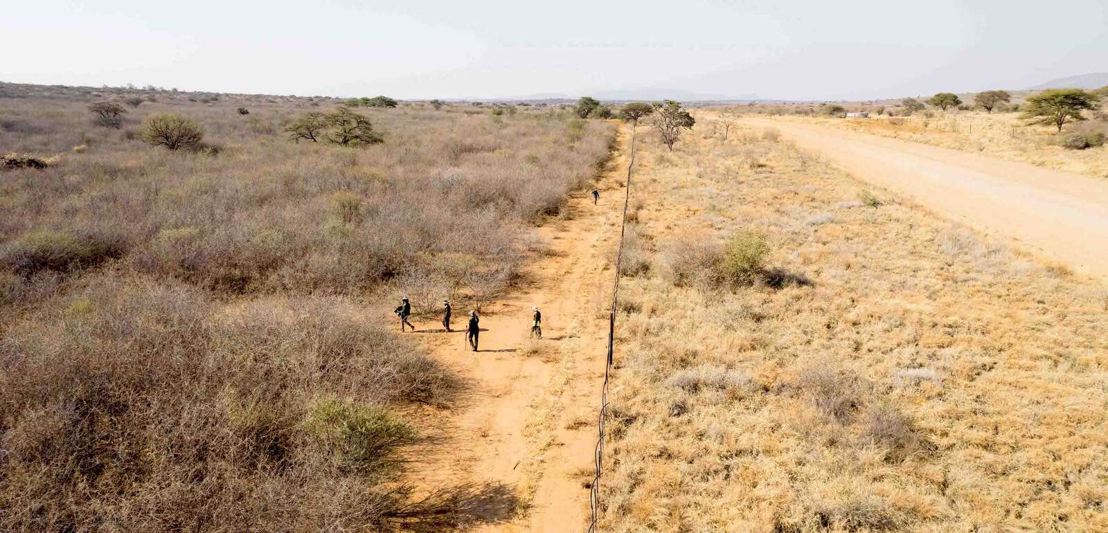 The story of Namibian bush: Turning problems into opportunities