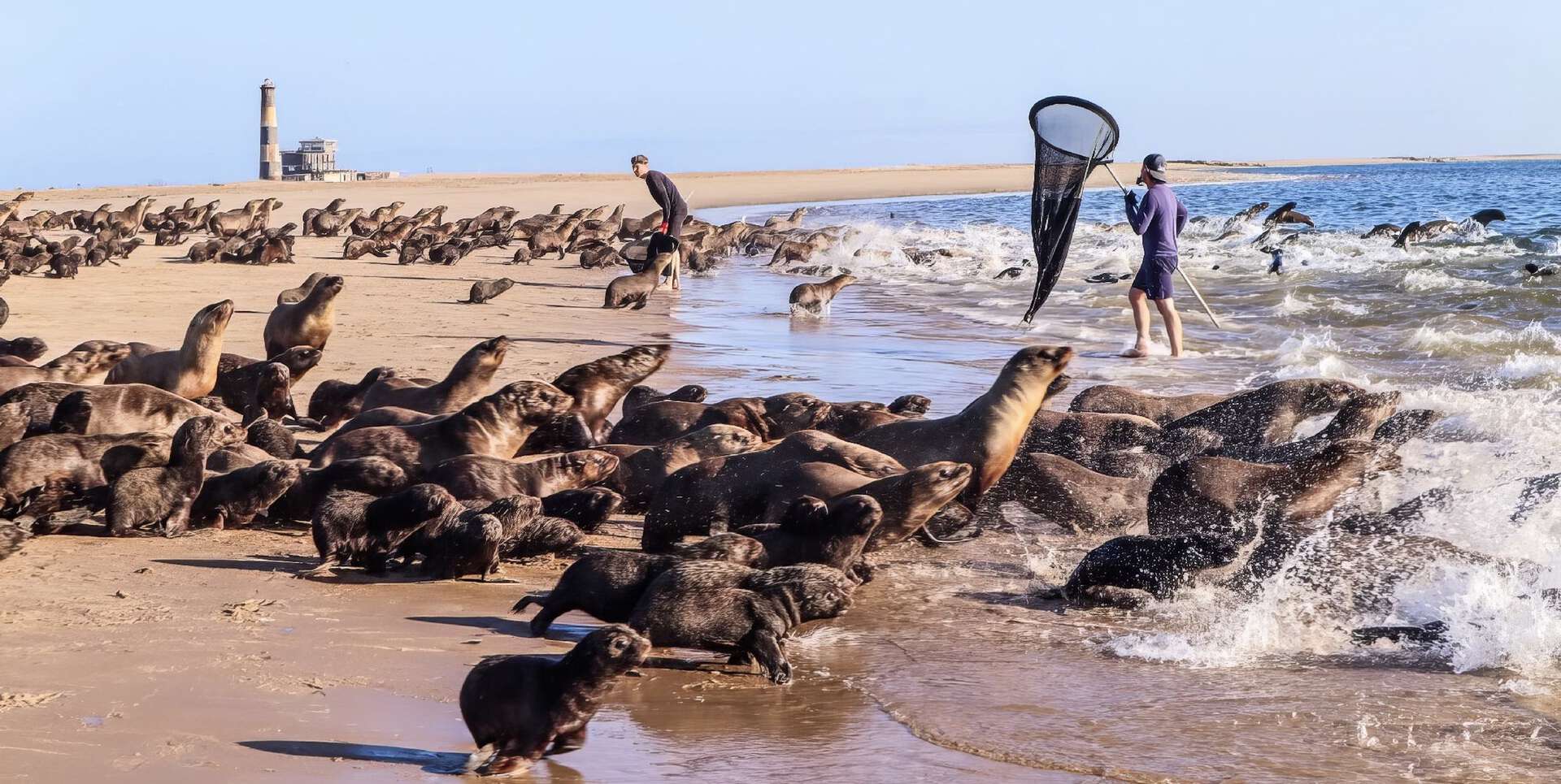 Giving plastic pollution a cute face: Ocean Conservation Namibia