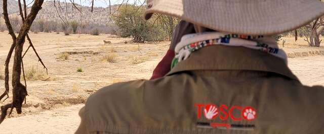 SMART Rangers for the conservation of desert-adapted lions