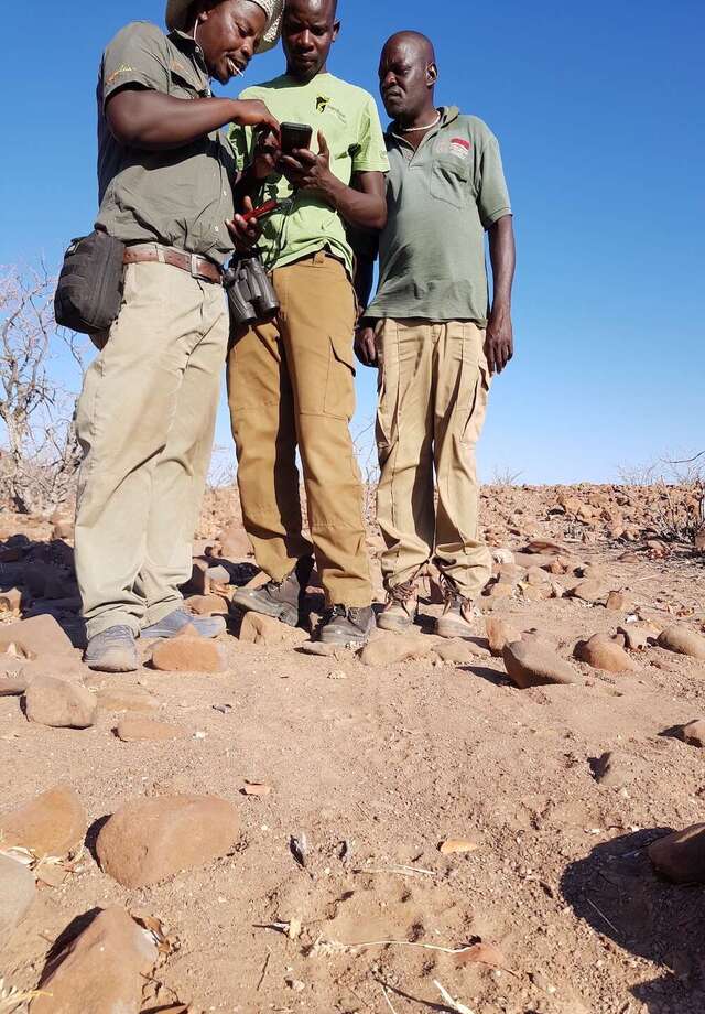 SMART Rangers for the conservation of desert-adapted lions