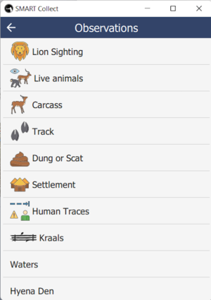 SMART Rangers for the conservation of desert-adapted lions