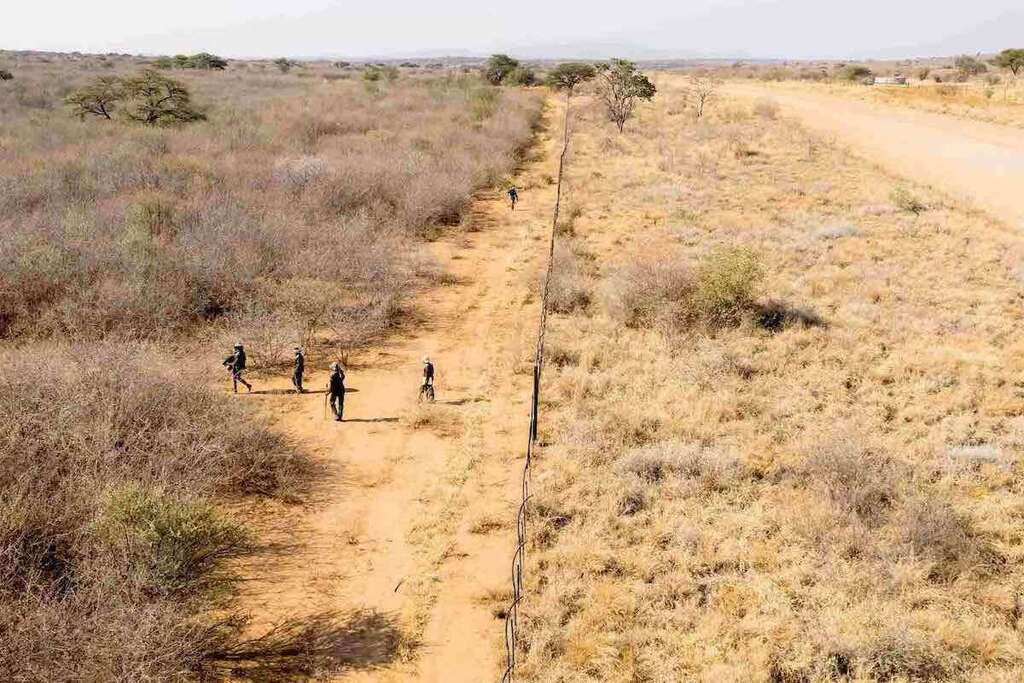 Uniquely Namibian: Namibia's Endemic and Near-Endemic Plants