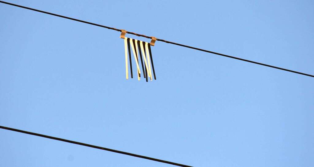 Big birds, big power lines, big problems