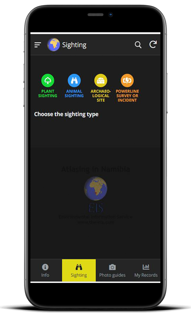 Citizen science in Namibia