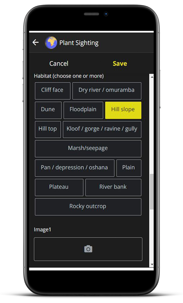 Citizen science in Namibia
