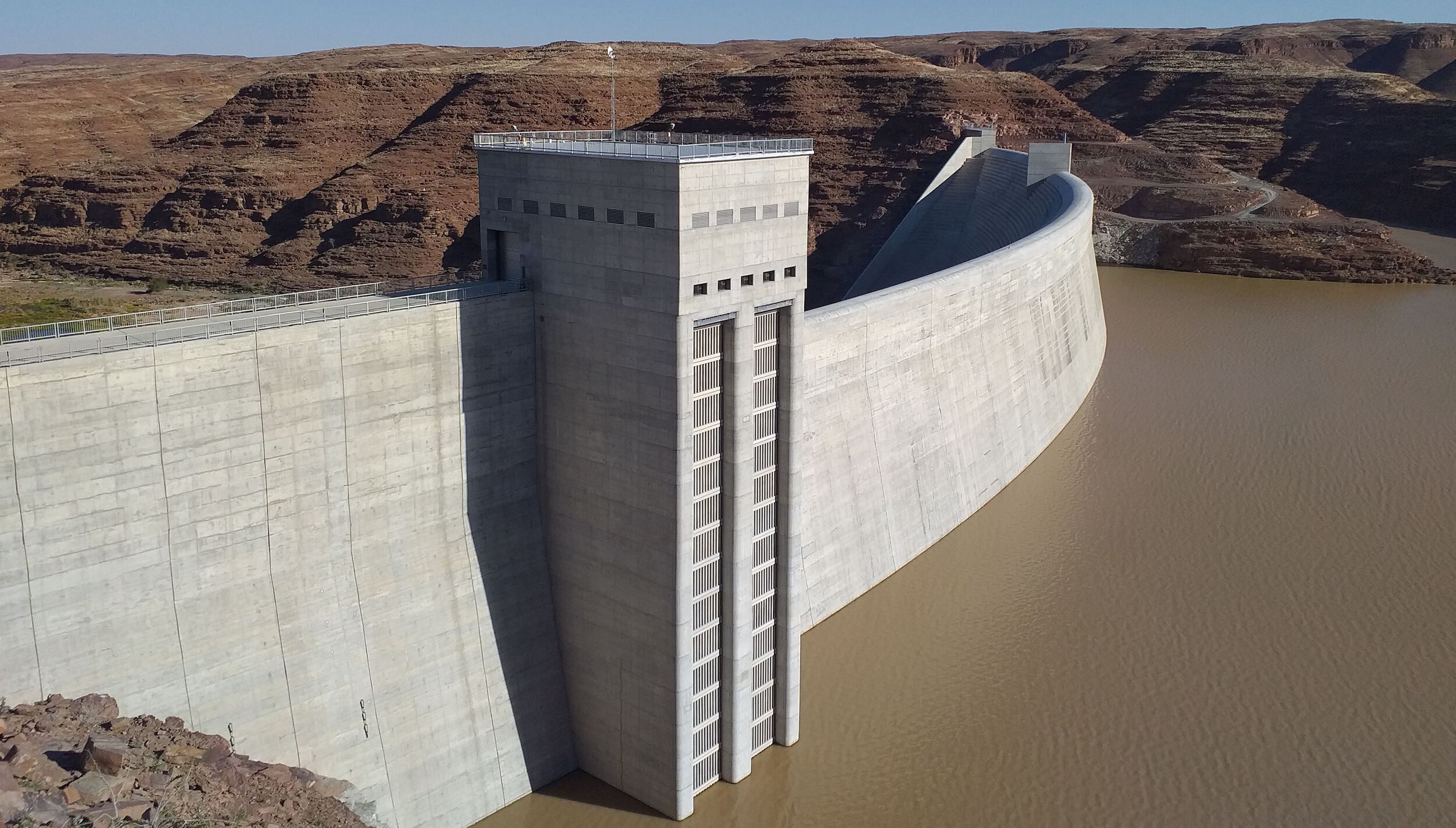 New plant species saved from the rising waters of Neckartal Dam