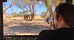 Factsheet: Responsible Photographic Tourism in Namibia