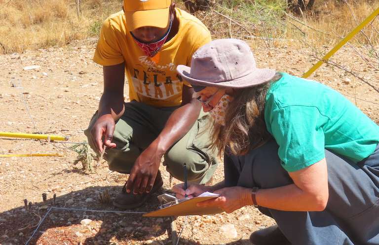 The battle against invasive alien species in Namibia