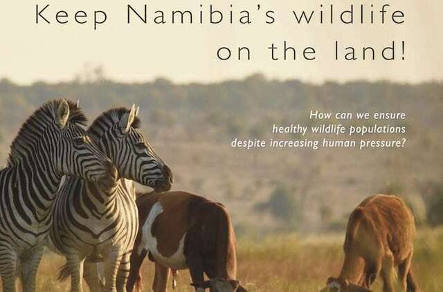 Conservation Namibia