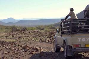 The story of Namibian bush: Turning problems into opportunities