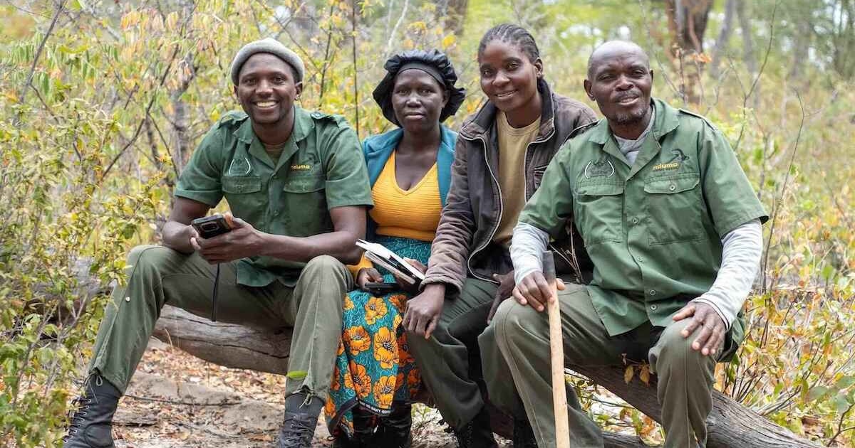 Eyes in the wild: How camera traps are safeguarding Namibia's natural ...