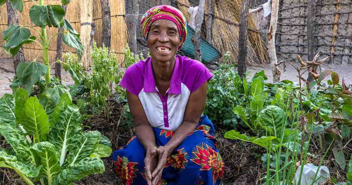 Conservation starts on a full stomach: Improving agricultural practices ...