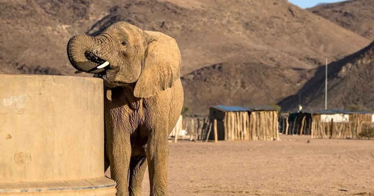 Conservation Controversies: The vista from the summit of Mount Stupid ...
