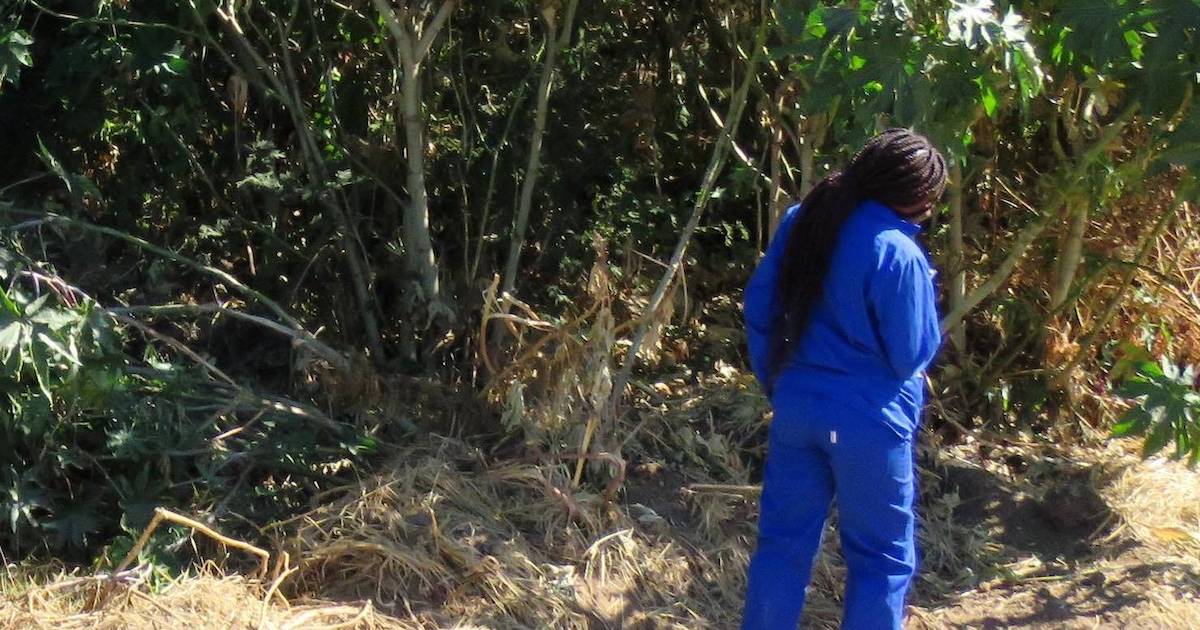 The battle against invasive alien species in Namibia