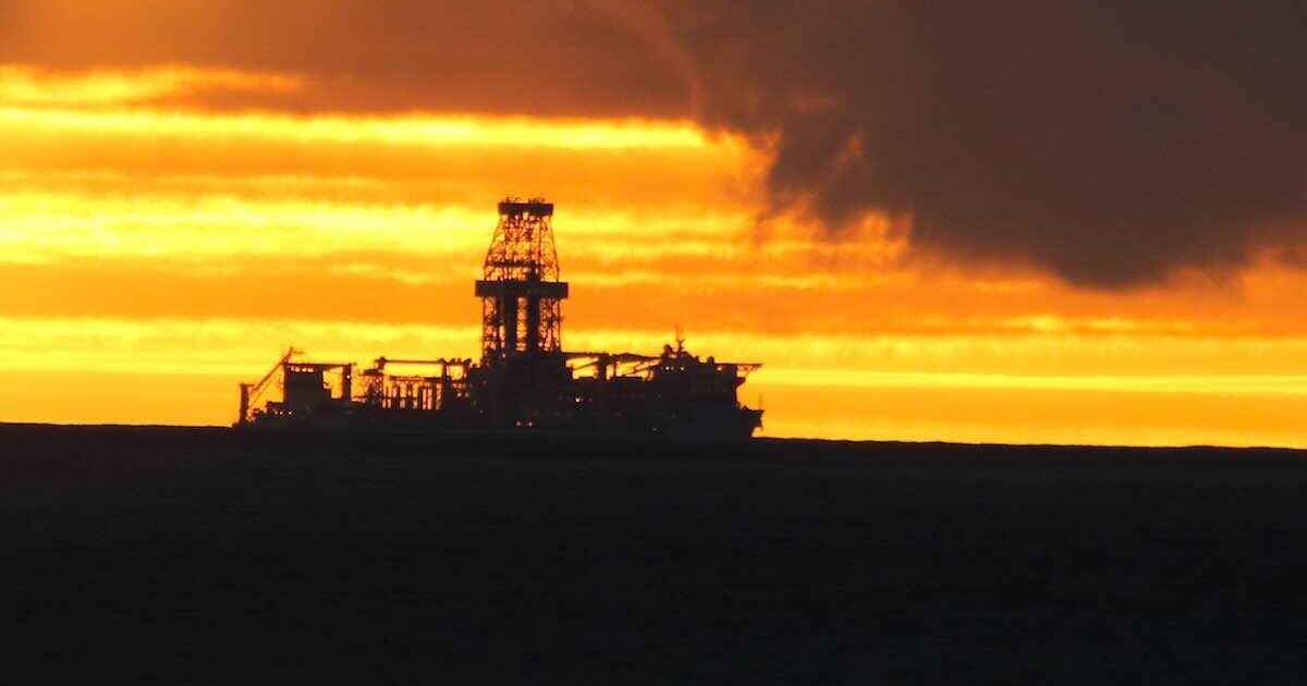 Marine life facing the wave of Namibia's oil boom