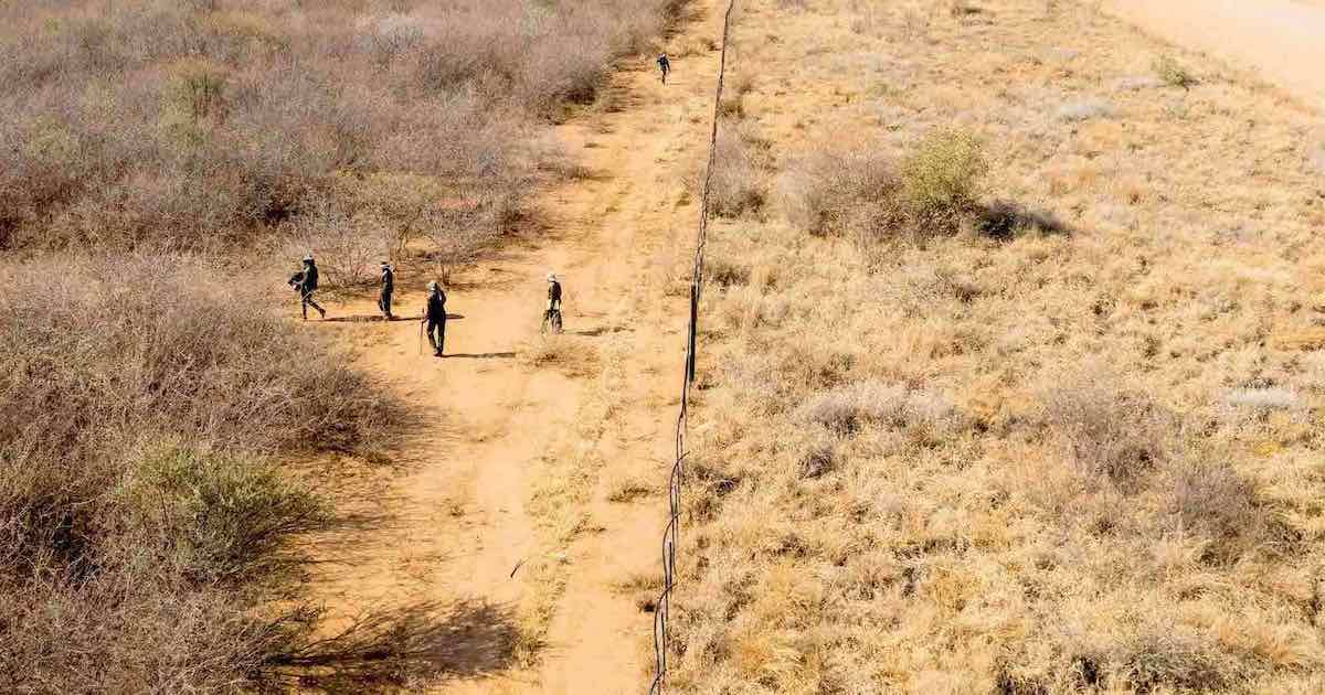 The story of Namibian bush: Turning problems into opportunities