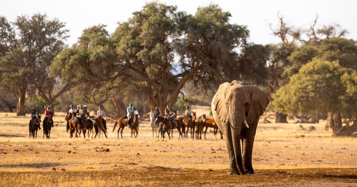 TOSCO: Bridging the gap between tourism and conservation.