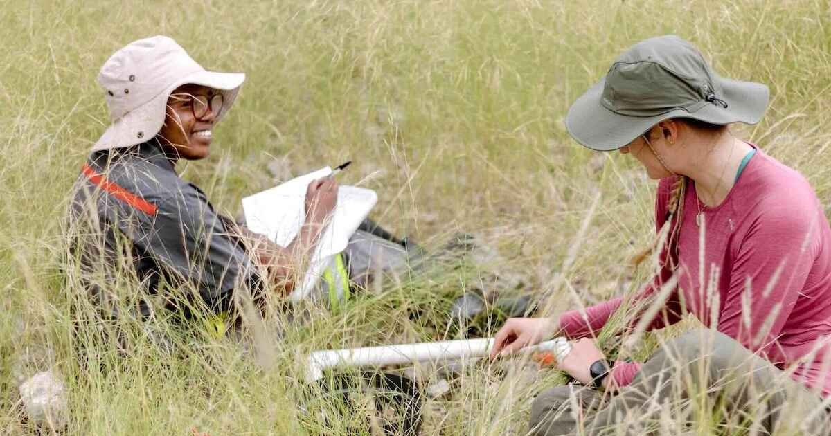 How long-term monitoring of Namibia's woodlands contributes to ...